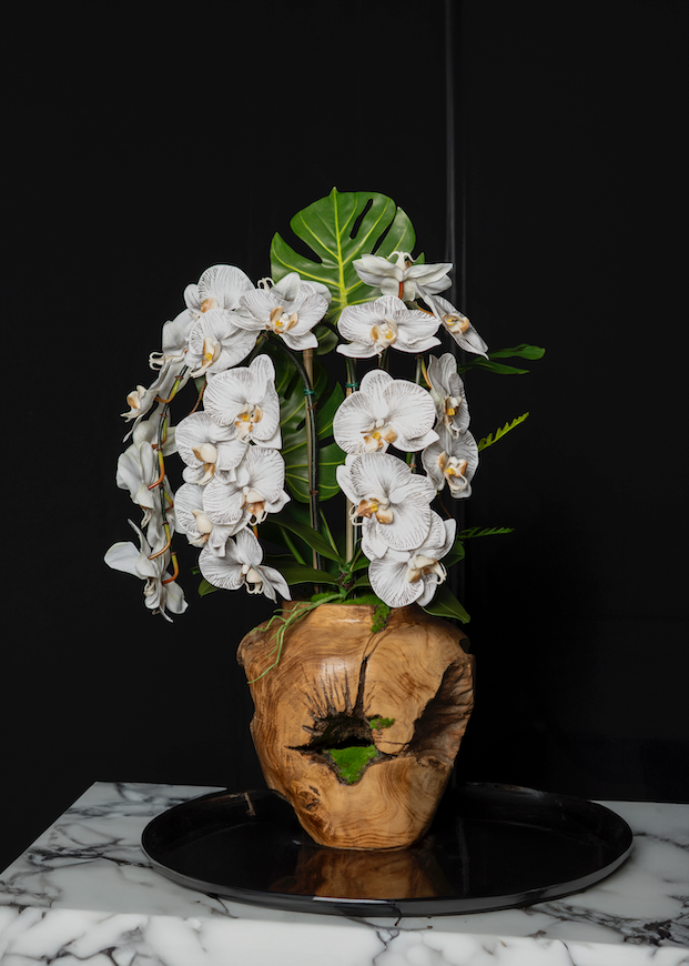 Gray Orchids in a Hollow Teak Pot – Leaf & Branch